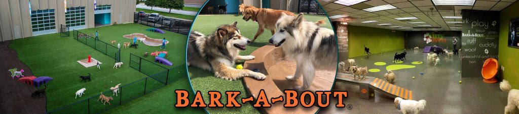 Live webcam – Bark-A-Bout