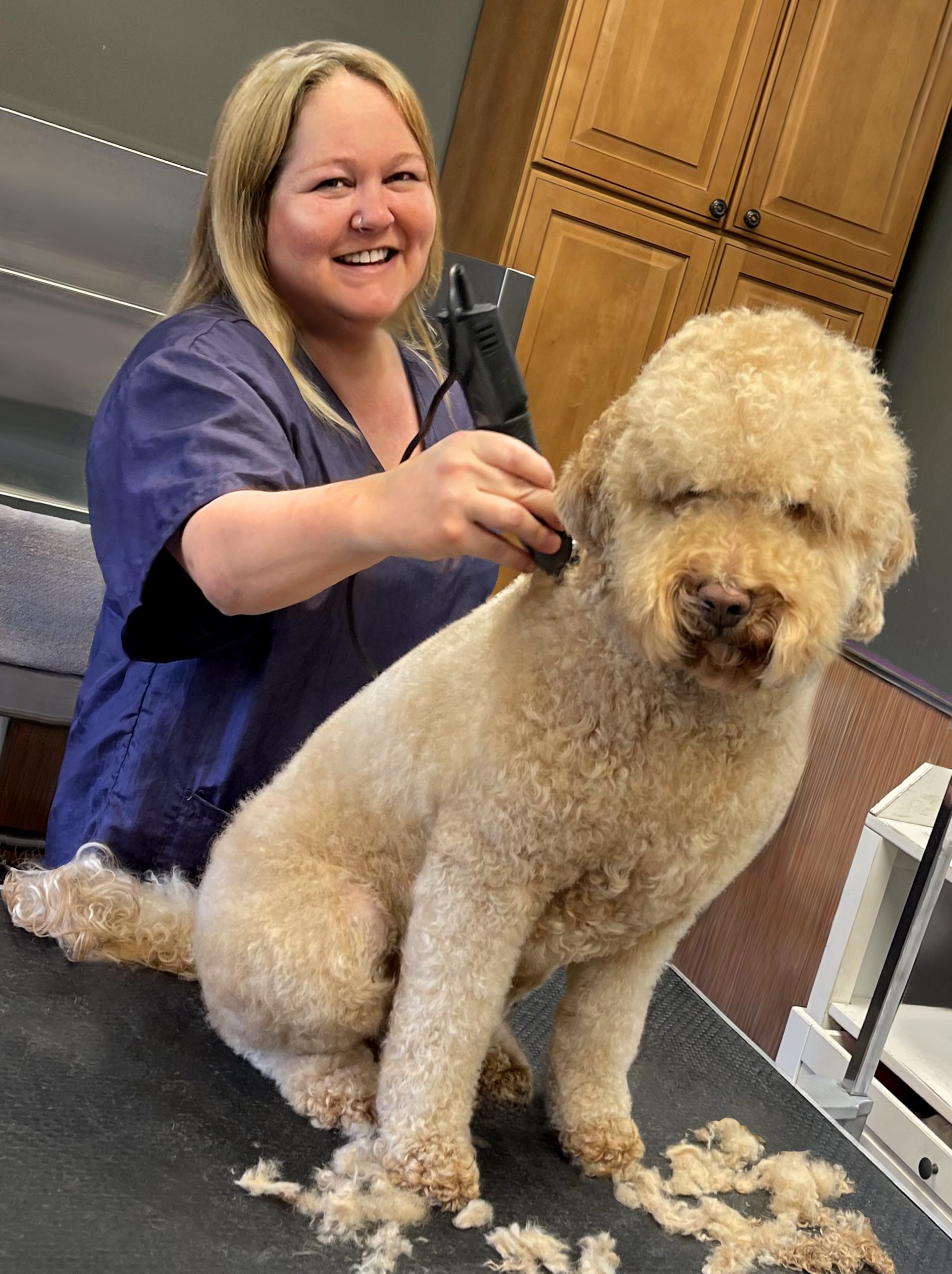 GROOMING – Bark-A-Bout